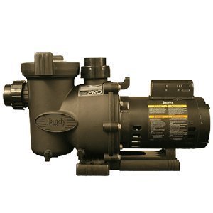 Jandy Single Speed Swimming Pool Pump – Aabaco Store
