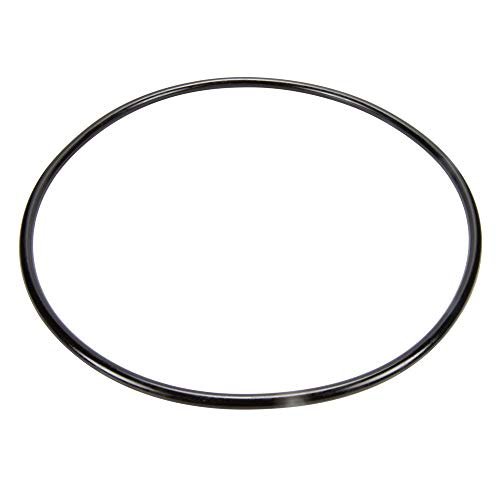 Pentair 87300400 Body O-Ring Replacement Pool and Spa Filter – Aabaco Store