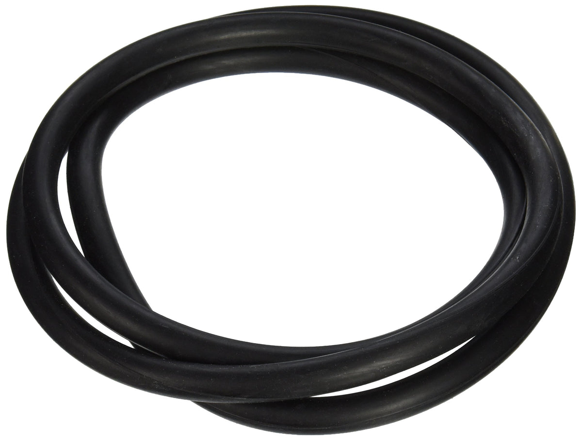 Pentair 152127 18-Inch O-Ring Tank Replacement Nautilus Pool and Spa D ...
